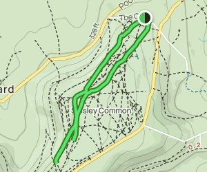Selsley Common: 28 Reviews, Map - Gloucestershire, England | AllTrails