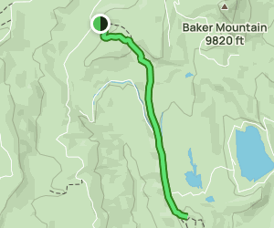 Windy Ridge: 186 Reviews, Map - Colorado | AllTrails