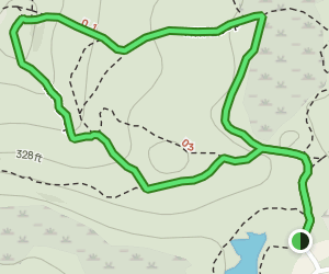 AllTrails | Lillian Cassier Hill Loop : 26 Reviews, Map - New Hampshire