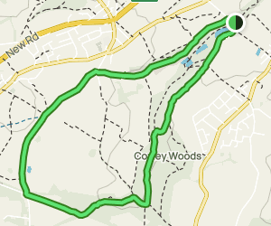 Coxley Wood, New Hall Wood, and Middlestown Circular: 148 Reviews, Map ...