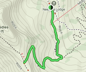 Strawberry Needles Trail: 72 Reviews, Map - Utah | AllTrails
