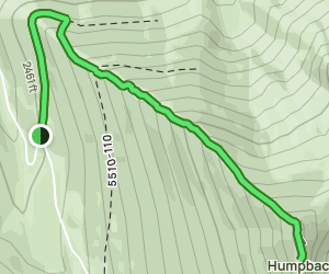 AllTrails | Humpback Mountain Trail: 323 Reviews, Map - Washington