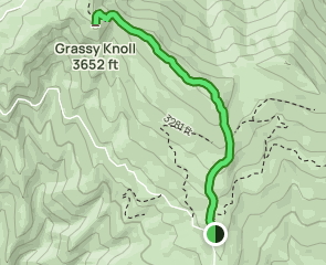 Grassy Knoll Trail: 250 Fotos - Washington | AllTrails