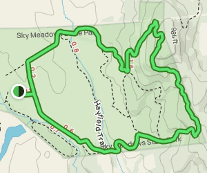 Lost Mountain Loop Trail: 839 Reviews, Map - Virginia | AllTrails