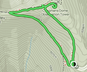 Mount Buckley via Clingmans Dome Bypass Trail: 717 Reviews, Map - North ...