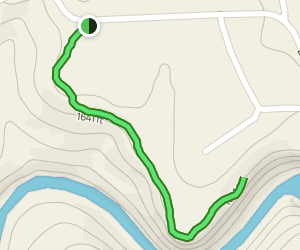 DeSoto Falls Bluff View Trail: 118 Reviews, Map - Alabama | AllTrails