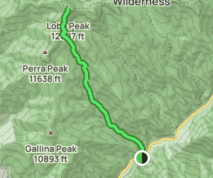 Lobo Peak Via Yerba Canyon Trail: 213 foto's - New Mexico | AllTrails