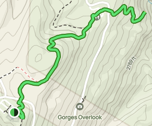 Bearwallow Falls via Bearwallow Valley Trail: 249 Reviews, Map - North ...