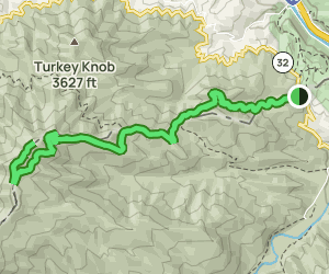 Mount Cammerer via Appalachian Trail: 133 Reviews, Map - Tennessee ...