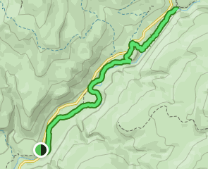 Lewis River Falls Trail: 1,303 Reviews, Map - Washington | AllTrails