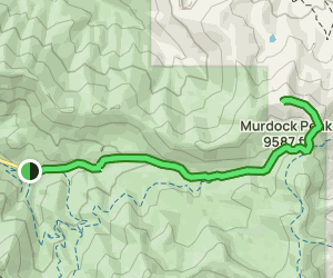 Murdock Peak via Old Red Pine Road: 496 Reviews, Map - Utah | AllTrails