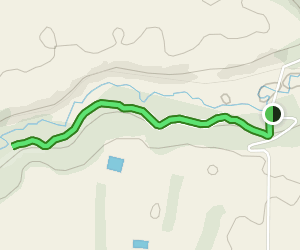 Chickadee Trail: 82 Reviews, Map - Alberta, Canada | AllTrails