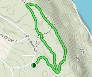 Channel Ridge South Loop: 31 fotos - Britisk Columbia, Canada | AllTrails