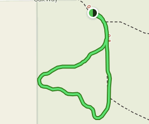 Lake Jesup Conservation Area: Yellow Trail: 34 Reviews, Map - Florida ...