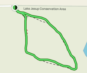 Lake Jesup Conservation Area: Red Trail - Florida | AllTrails