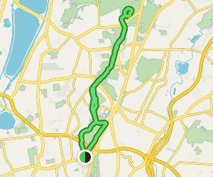 Epping Forest, Highams Park Lake, Woodford and Connaught Water: 110 ...