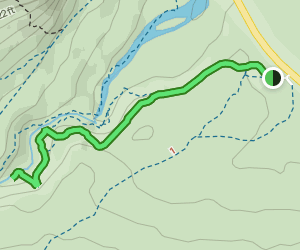 Cline River Trail: 311 Reviews, Map - Alberta, Canada | AllTrails