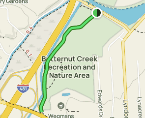 Butternut Creek Trail, New York - 85 Reviews, Map | AllTrails