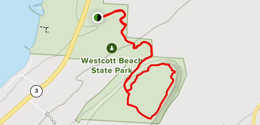 Are Dogs Allowed At Westcott Beach State Park