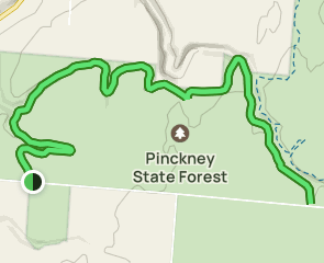 Pinckney Blue Trail, New York - 18 Reviews, Map | AllTrails