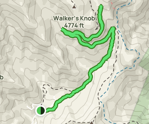 Greybeard Falls via Greybeard Mountain Trail: 628 Reviews, Map - North ...