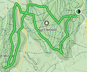 Holmbury and Pitch Hill via Peaslake: 59 Reviews, Map - Surrey, England ...