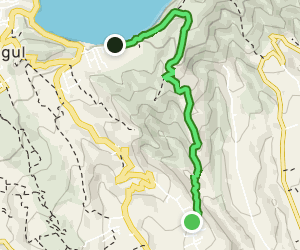 Sendero del bosque de las tierras altas de Bedugul, 5 Fotos - Bali ...