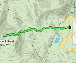 Tamarack Peak from Mount Rose Highway: 88 Reviews, Map - Nevada | AllTrails
