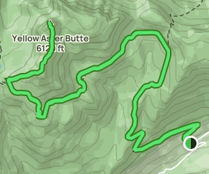 Yellow Aster Butte Trail: 1264 Reviews, Map - Washington | AllTrails