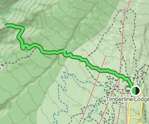 Timberline Lodge to Zig Zag Canyon: 1606 Reviews, Map - Oregon | AllTrails