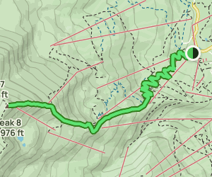 Breckenridge Peak 8 Trail: 356 Reviews, Map - Colorado | AllTrails