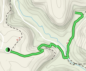 Muir Valley South Trail: 68 Reviews, Map - Kentucky | AllTrails
