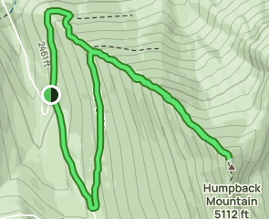 Humpback Mountain Loop Trail, Washington - 43 Reviews, Map | AllTrails