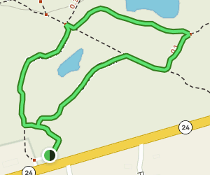 Patsy Pond Green Trail: 28 Reviews, Map - North Carolina | AllTrails