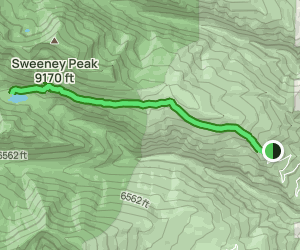 Sweeney Ridge Trail to Peterson Lake: 94 Reviews, Map - Montana | AllTrails