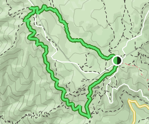 Cataract and Coastal Trail Loop : 295 Reviews, Map - California | AllTrails