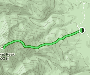 Diamond Peak: 64 Reviews, Map - Idaho | AllTrails