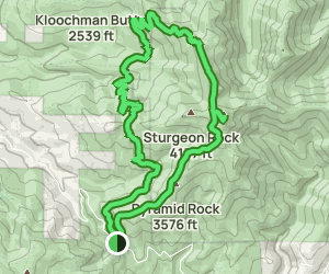 Grouse Vista, Silver Star Mountain, Chinook, and Tarbell Trails Loop ...