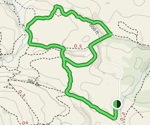 Ammonite Falls Lake View Loop | Map, Guide - British Columbia, Canada | AllTrails