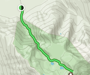 Fang Mountain Trail: 43 Reviews, Map - British Columbia, Canada | AllTrails