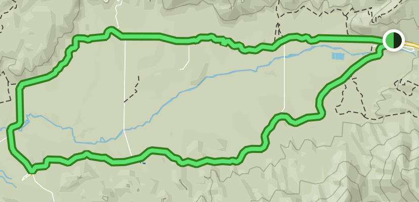 Cades Cove Are Dogs Allowed Here