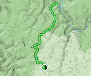 Red Byrd Arch: 198 Reviews, Map - Kentucky | AllTrails