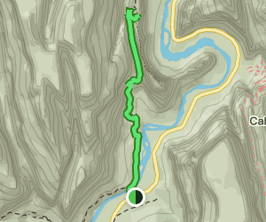 Scout Lookout via West Rim Trail: 7157 Reviews, Map - Utah | AllTrails