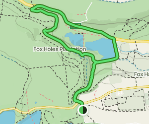 Wyming Brook and Rivelin Reservoir Circular: 215 Reviews, Map - South ...