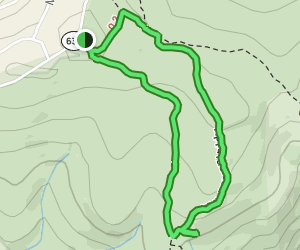 West Thompson WMA and AT Loop: 135 Reviews, Map - Virginia | AllTrails