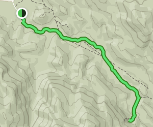 Alligator Creek Falls Track : 103 Reviews, Map - Queensland, Australia ...