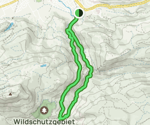 Partnachklamm and Partnachalm: 19 Reviews, Map - Bayern, Germany ...