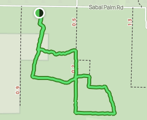 Sabal Palm Trail, Florida - 132 Reviews, Map | AllTrails