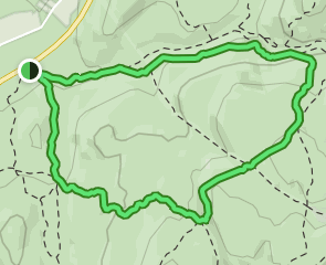 Reeves Brook Loop Trail, New York - 4,647 Reviews, Map | AllTrails