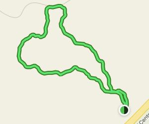 Newnans Lake West Hiking Trail: 55 Reviews, Map - Florida | AllTrails